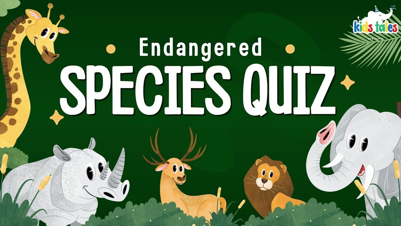 Endangered Species Quiz. Can You Guess These Rare Animals? - YouTube