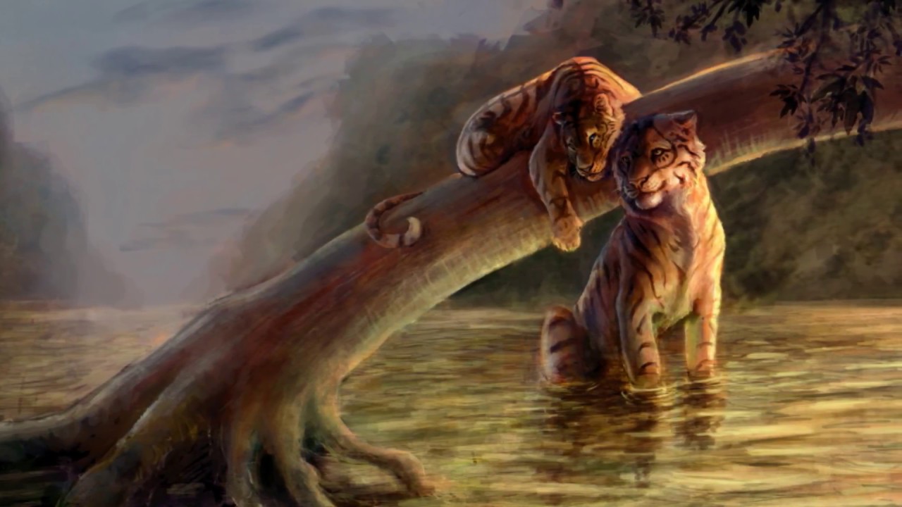 Power Animals - YouTube