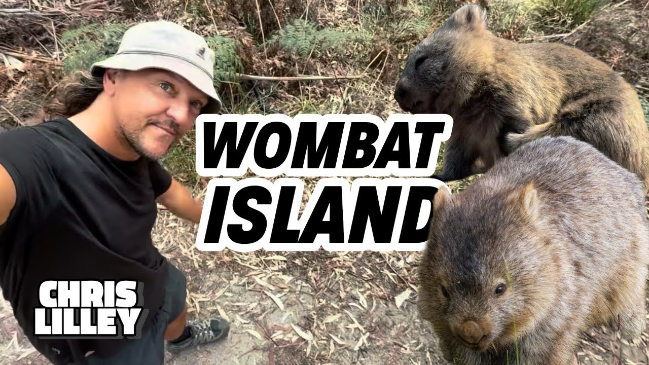 Wombat Island - Tasmania - YouTube