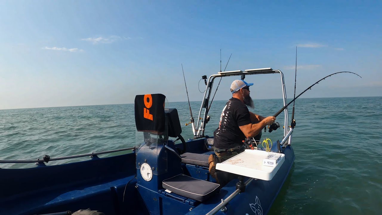 Smooth-hound and Tope | Sea Fishing Uk - Small Boat Fishing - Whaly 435 ...