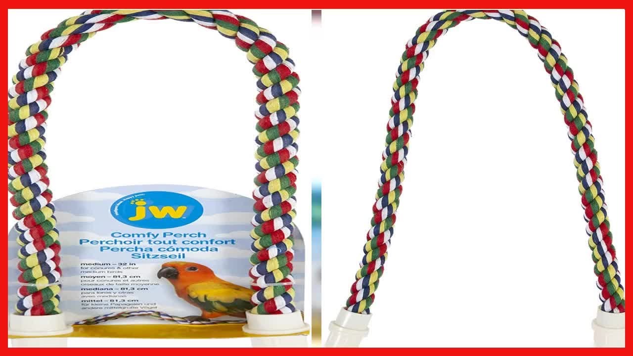 JW Comfy Perch for Birds - YouTube