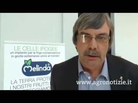 Melinda presenta le celle ipogee