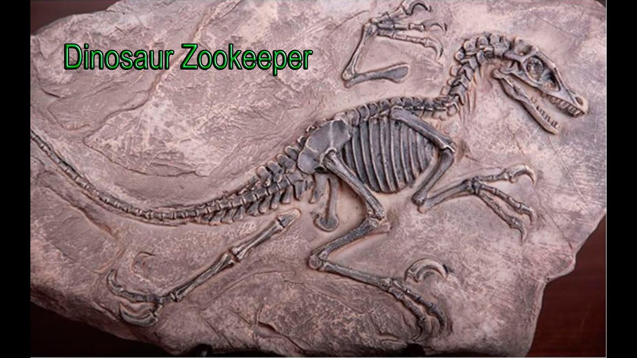 Dinosaur Zookeeper Gameplay- WORSE DINOSAUR GAME EVER!!! - YouTube