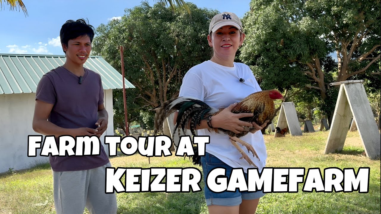 Farm tour at Keizer Gamefarm - YouTube