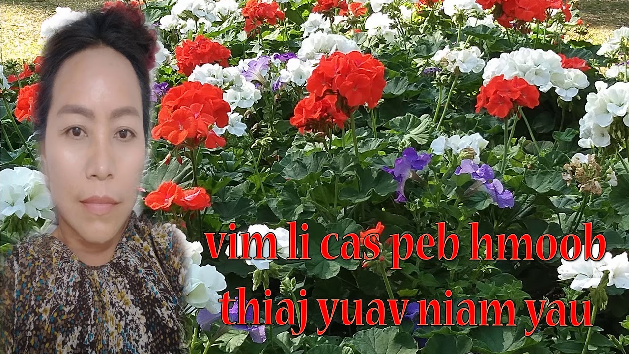 vim li cas peb hmoob thiaj yuav niam yau 6/3/2020 - YouTube