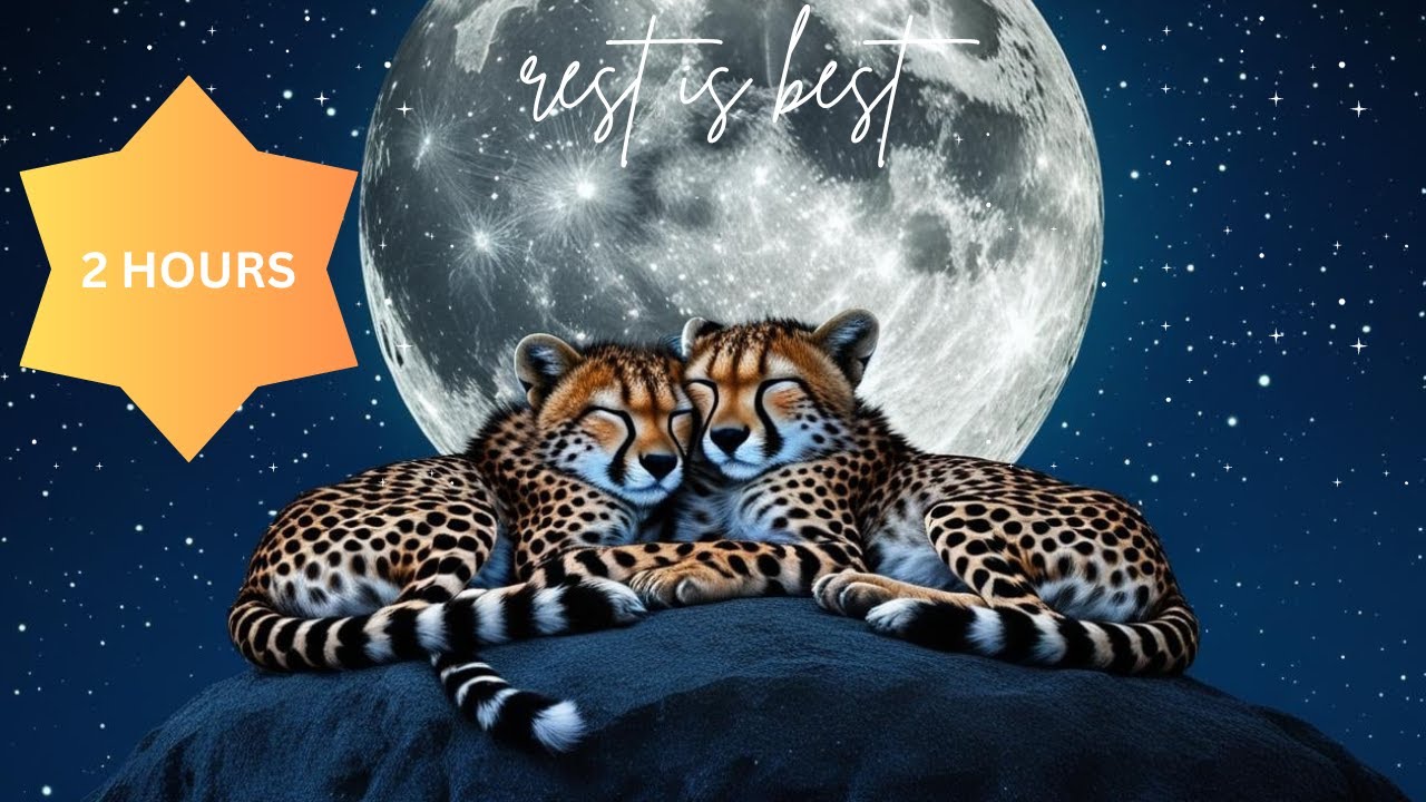 Baby Sleep Sounds Lullaby for Baby Sleep ♫ 2 Hours Soothing Sleep Music ...