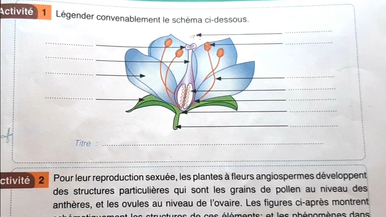 Univers documents SVT 2AC La reproduction sexuée et asexuée chez les ...