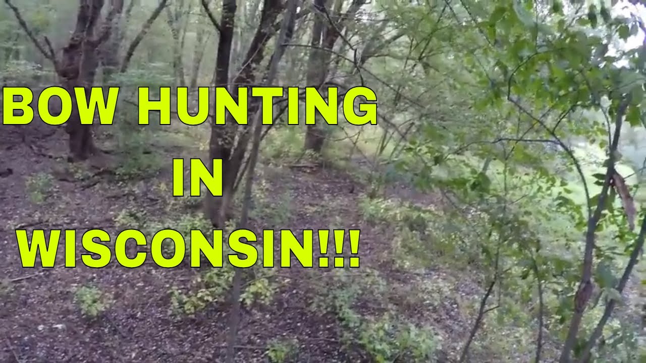 First Ever Bow Hunting Video!! | Wisconsin Bow Hunting 2018 - YouTube