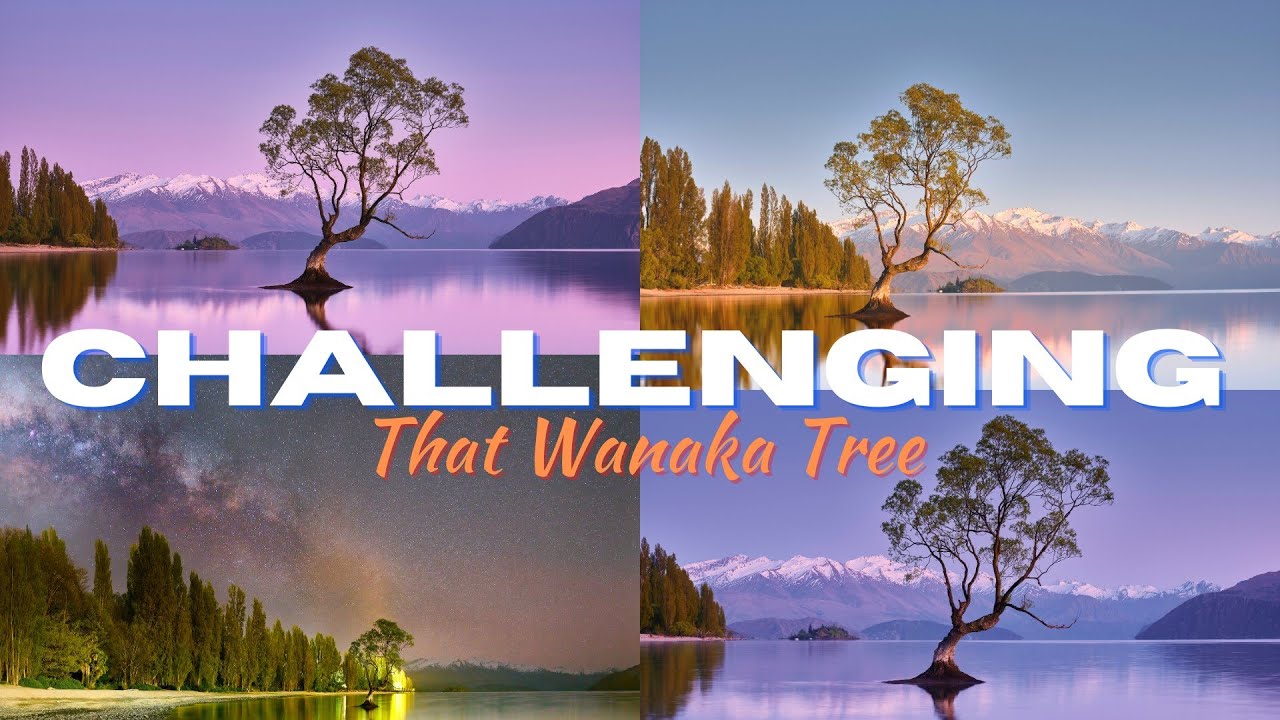 Some HARD TRUTHS about photographing an ICON like That Wanaka Tree ...
