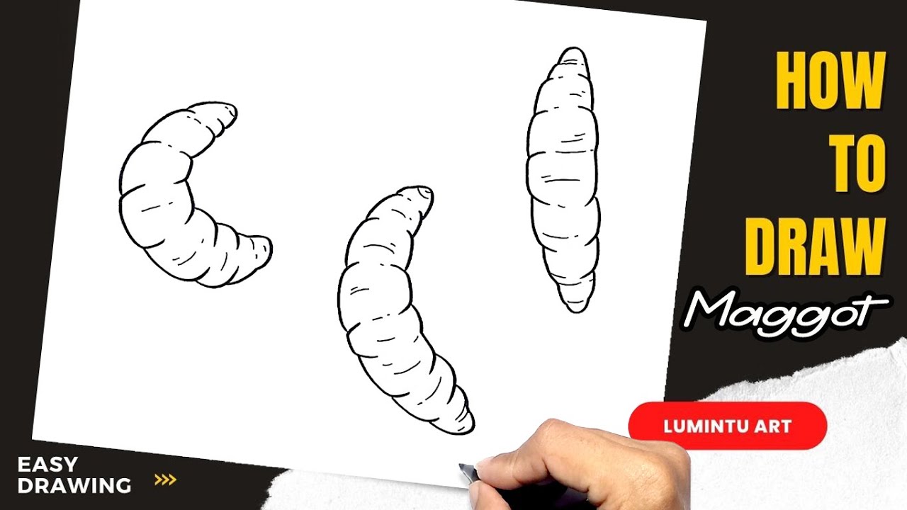 How to draw Maggot - Easy Maggot Drawing - YouTube