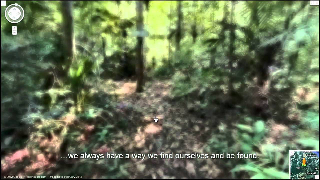 Street View for the Amazon - Tour of an Amazon Forest Trail - YouTube