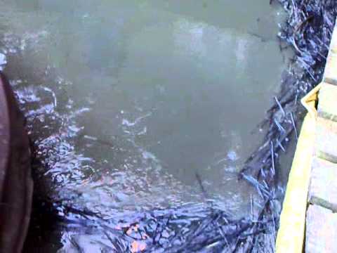 Pomp testen stoom gemaal de Tuut 3/4 - YouTube