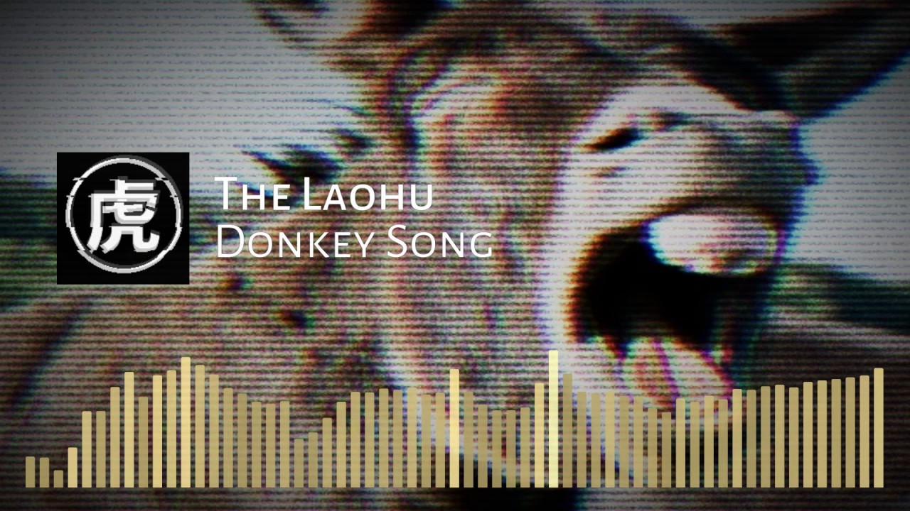 Donkey Song - YouTube