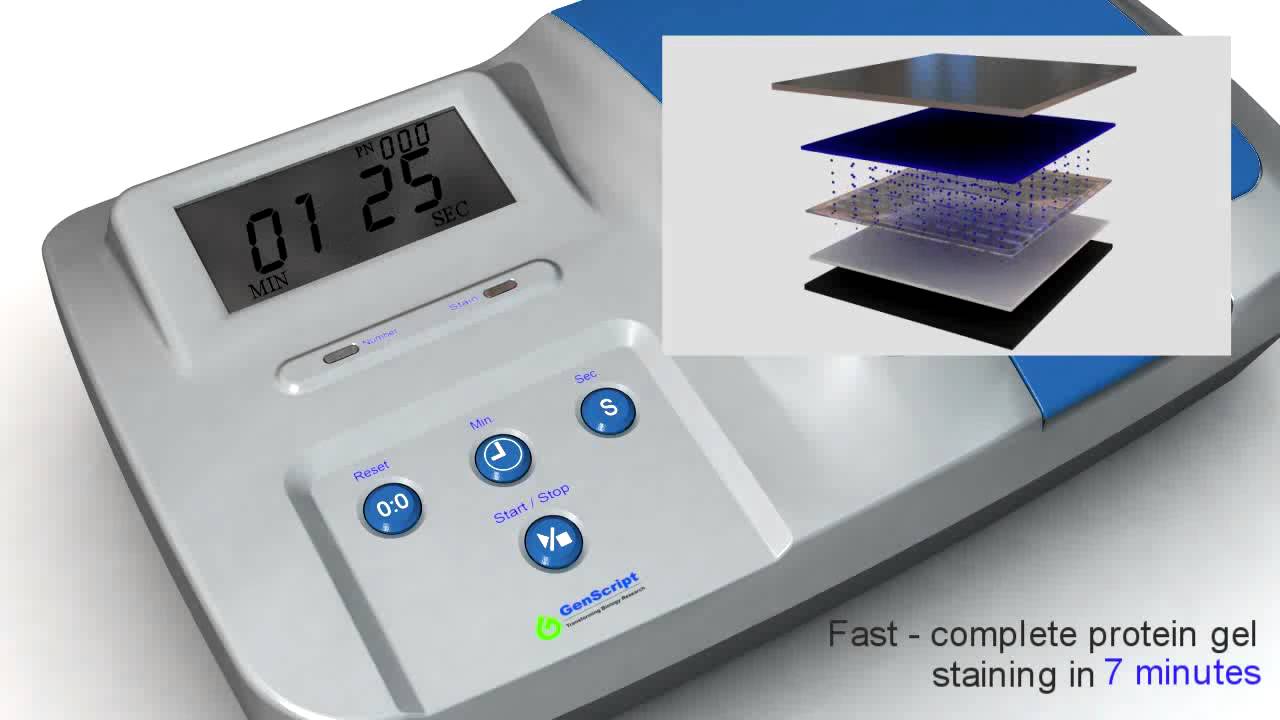 Automatic Protein Gel Staining System-eStain® 2.0 - YouTube