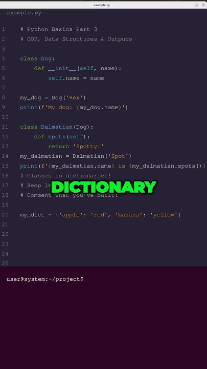 Python Basics Simplified Classes And Structures Programming Python Coding Pythonforbeginners