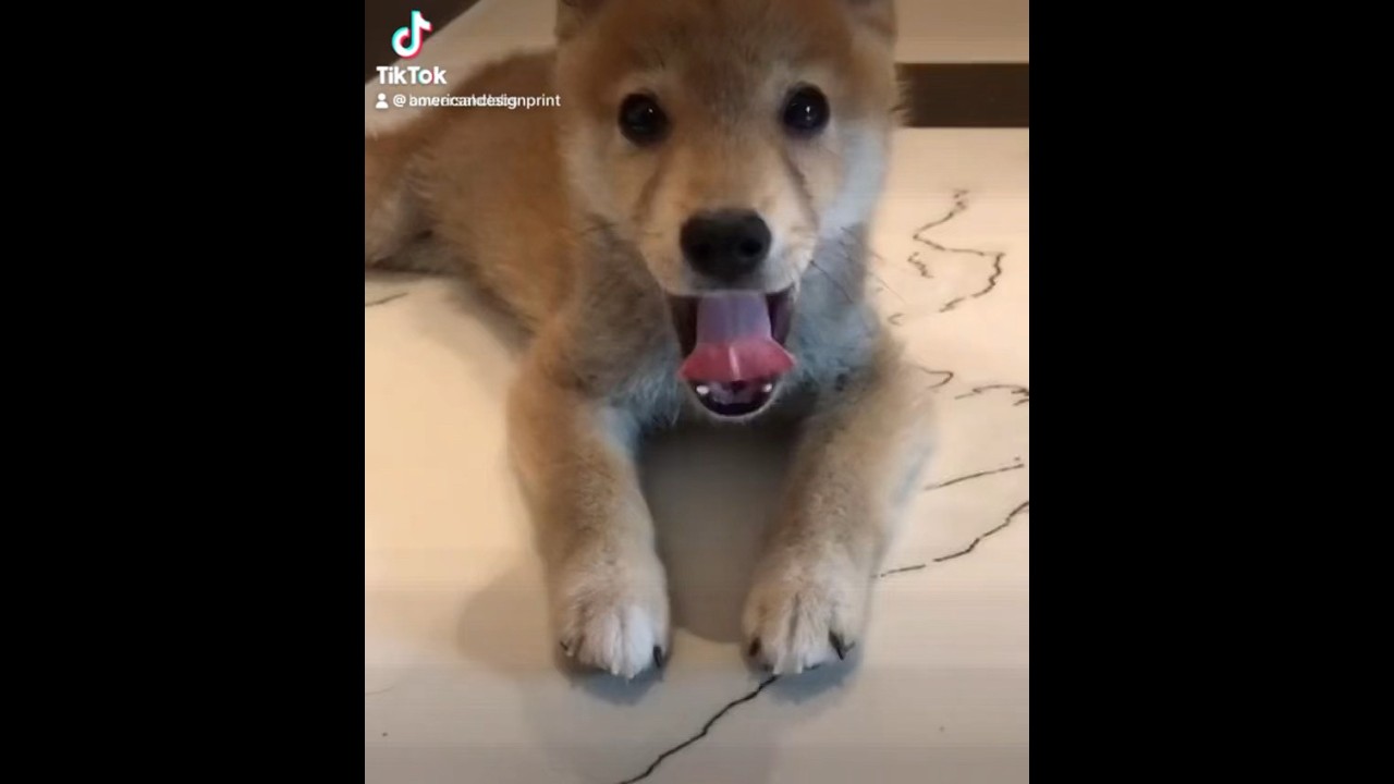 Tell two friends and they tell two friends etc..#bowersakclabs #fypシ゚ ...