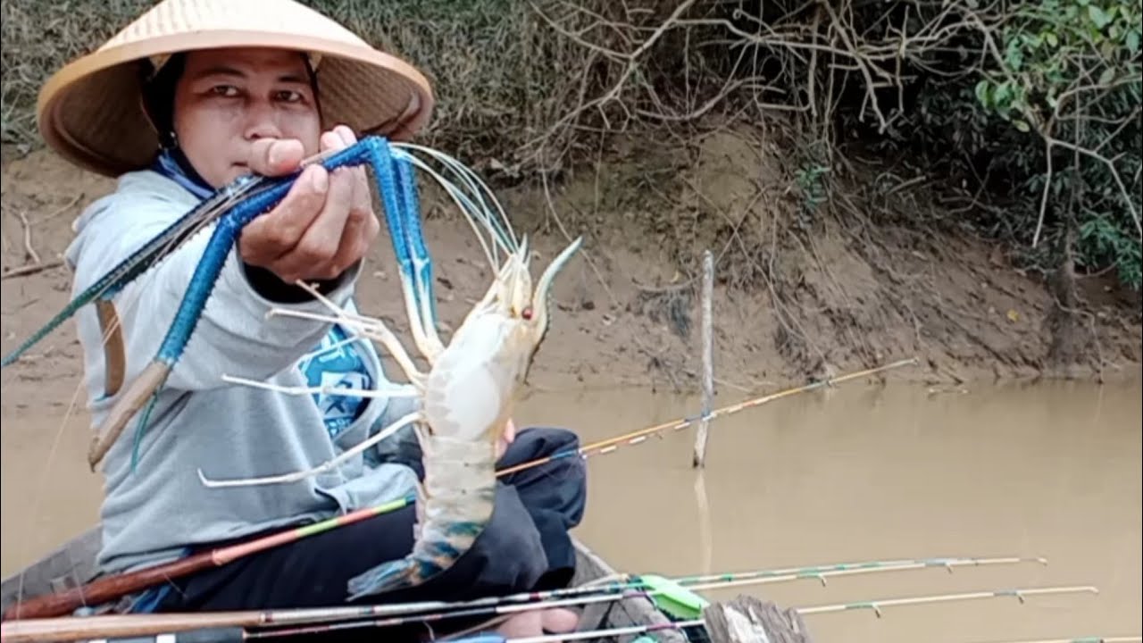 mancing udang galah spot belangiran|prawn fishing - YouTube