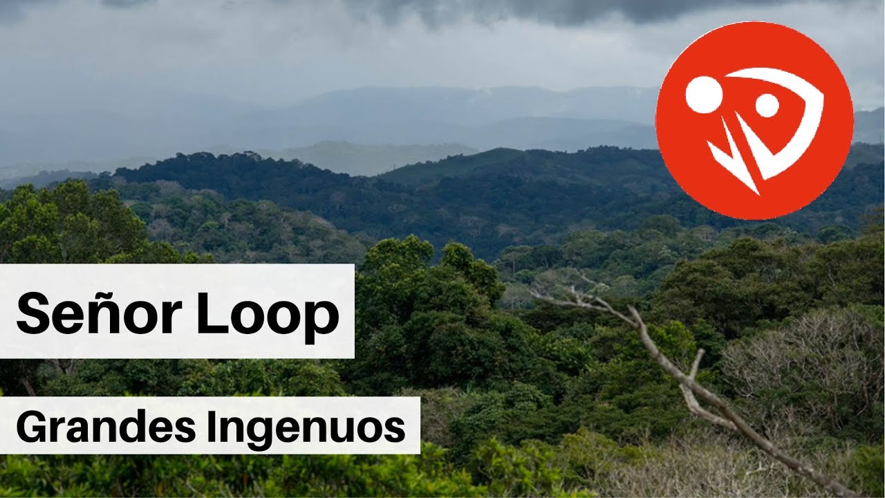 Señor Loop - Grandes Ingenuos (Audio Oficial) - YouTube