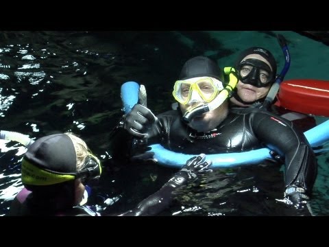 Dick O'Dell's Dive at the Downtown Aquarium