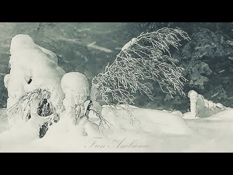 Cold polar wind & Blizzard on mountaintop with winter ambience / Nature ...