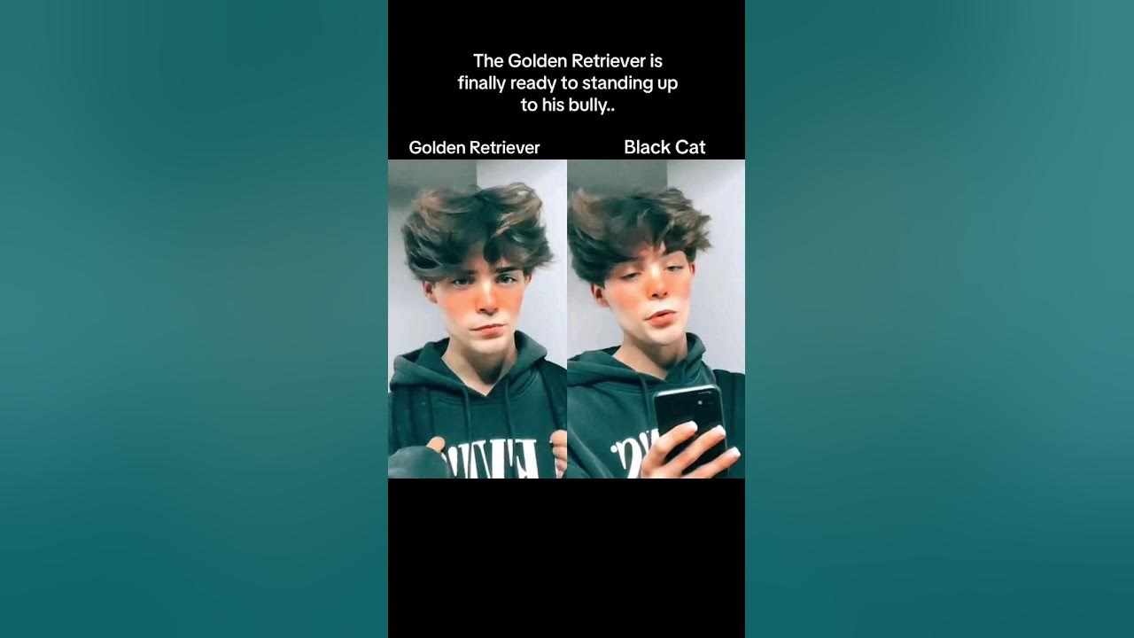 Video On Tik Tok By zac youtube On 15 9 2023 bigfamily92021 video-on-tik-tok-by-zac-youtube-on-15-9-2023-bigfamily92021