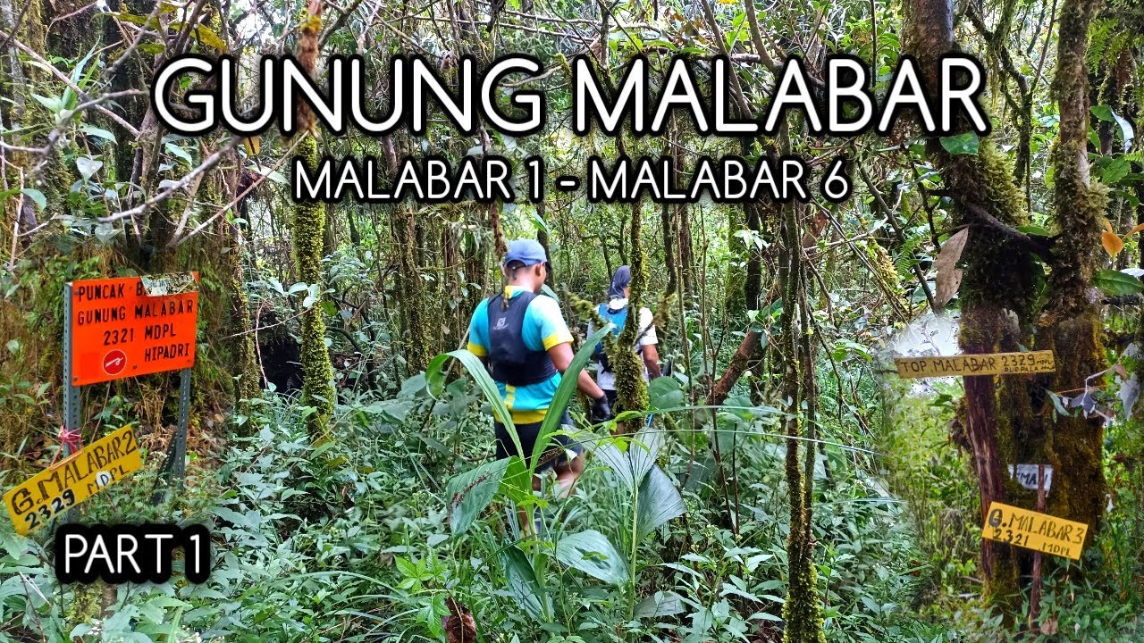 Pendakian Gunung Malabar (Hiking Ke Puncak Malabar 1 Sampai Puncak ...