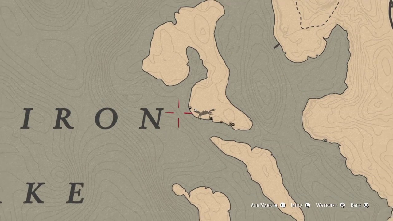 RDR Online Toad(Western) Locations - YouTube