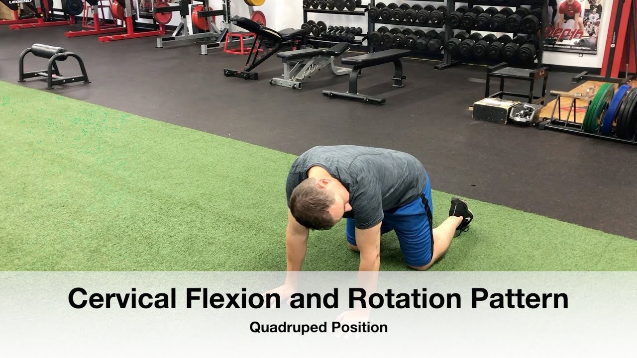Cervical Flexion and Rotation Pattern. (Prone/Quadruped) Neck Range of ...