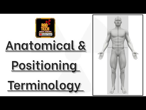 Anatomical & Positioning Terminology.(Body Planes/ Projection ...
