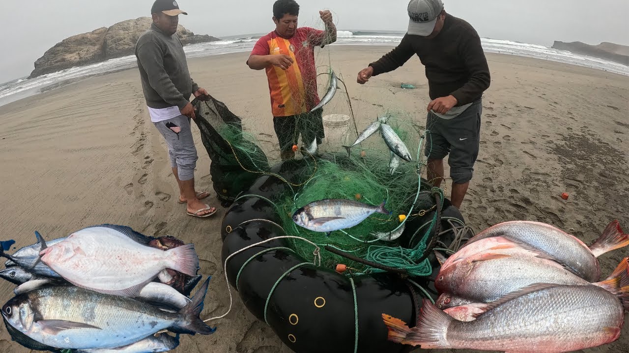 Me arriesgue en sacar esta red en la mar picada y mira lo que me pasó ...