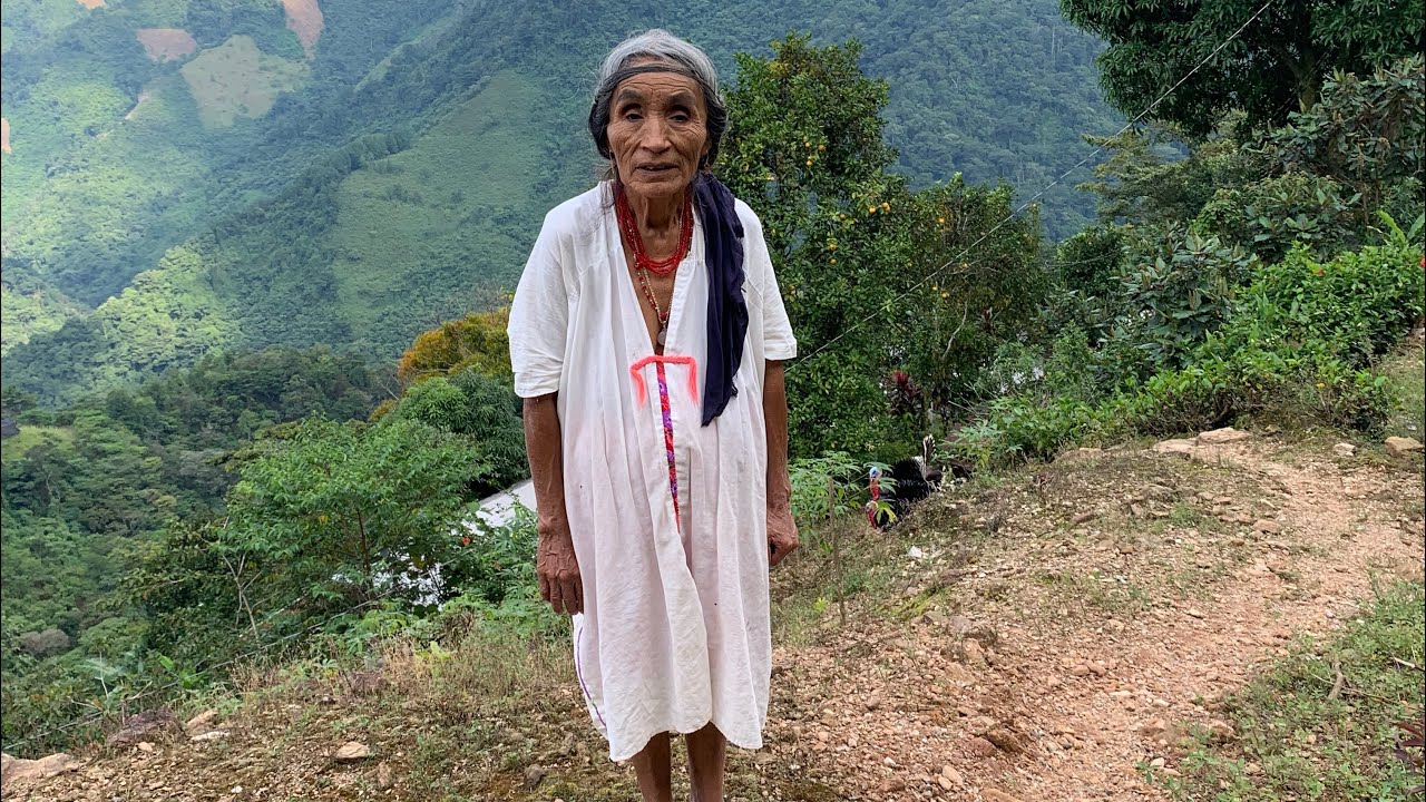 ‼️Visitamos una Comunidad Chinanteca 😱! Aquí en el estado de Oaxaca‼️ ...