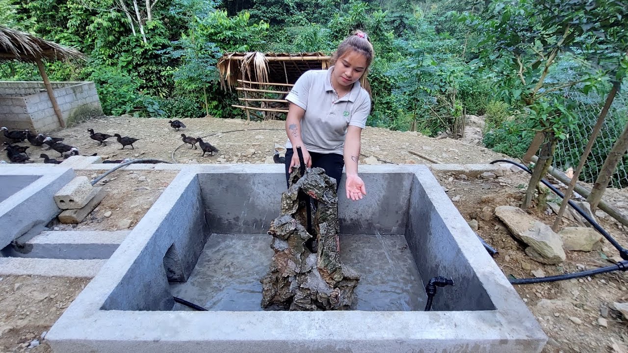 Full VIDEO: 150 days of building a Farm alone, the process of building ...