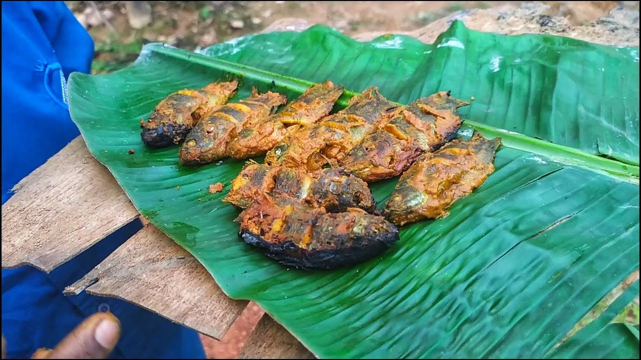 മീൻ പൊള്ളിച്ചു നോക്കിയതാ 😜| biyym kayal fishing vlog #gmap #arshad # ...