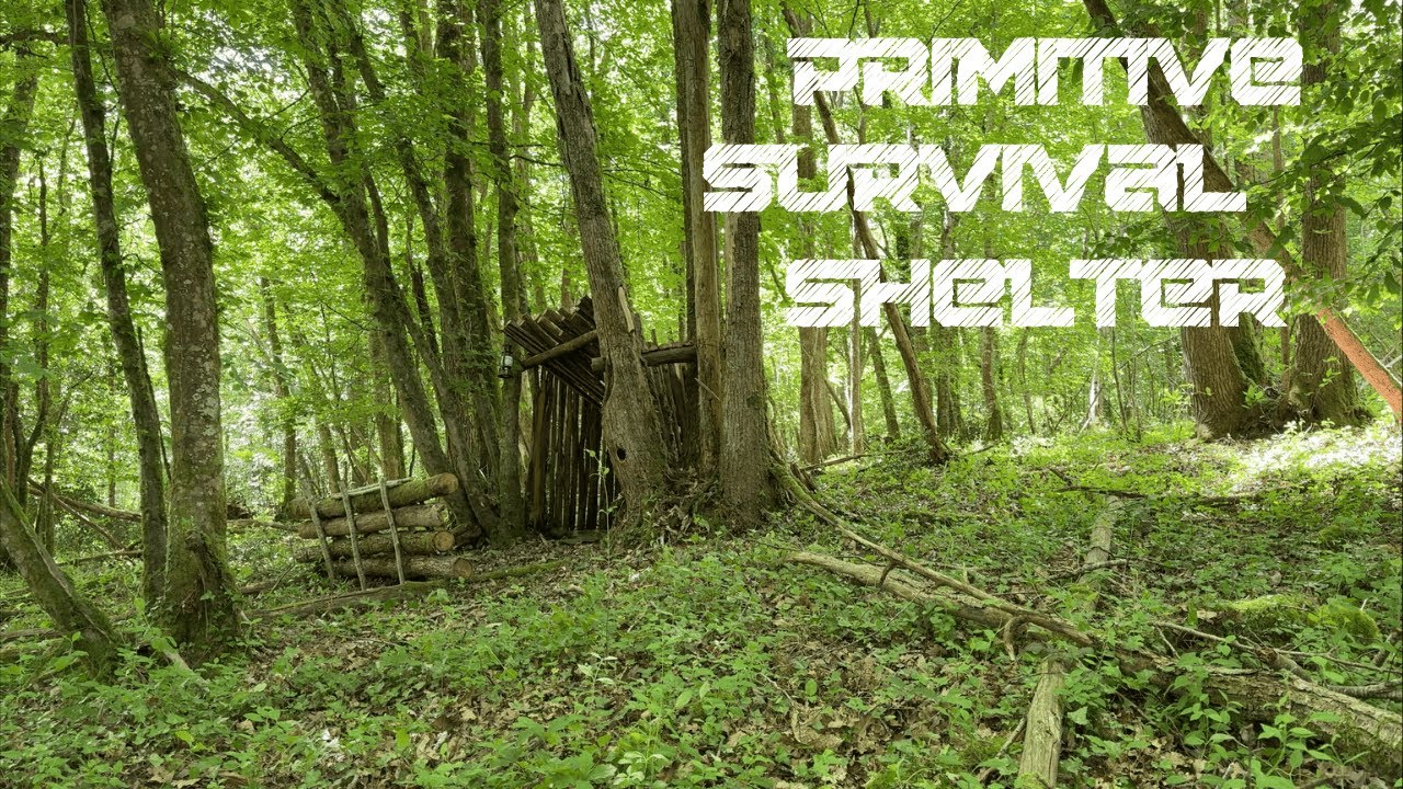Alone in the Forest - Building a Primitive Survival Shelter - YouTube