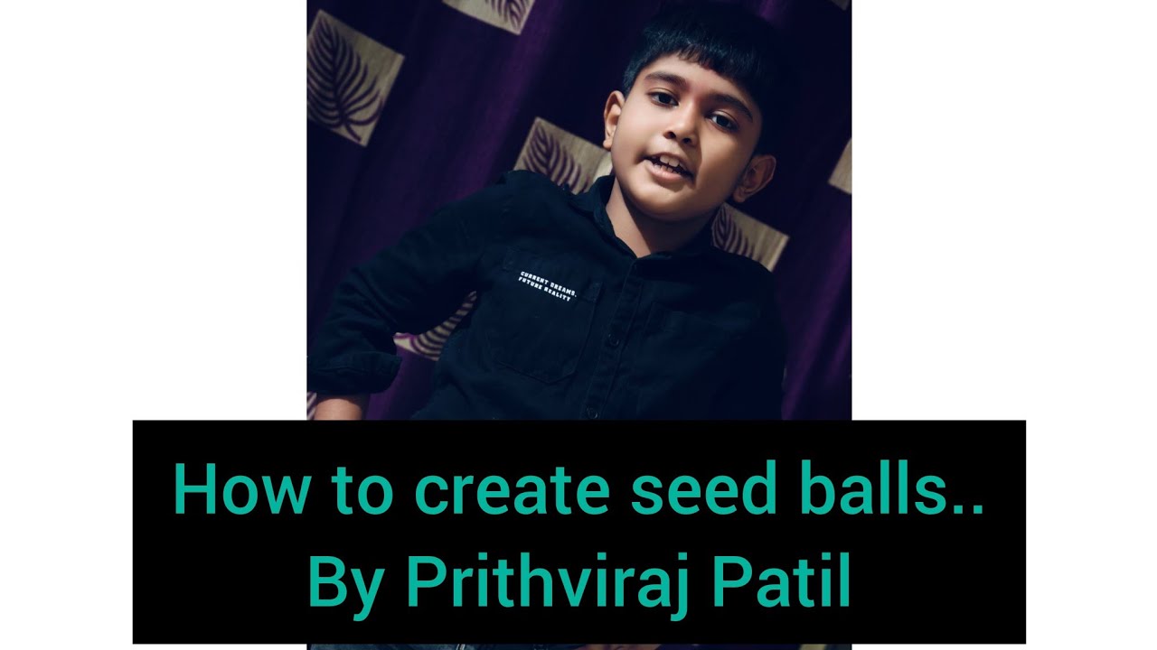 How to create seed balls | plantation | by Prithviraj Patil - YouTube