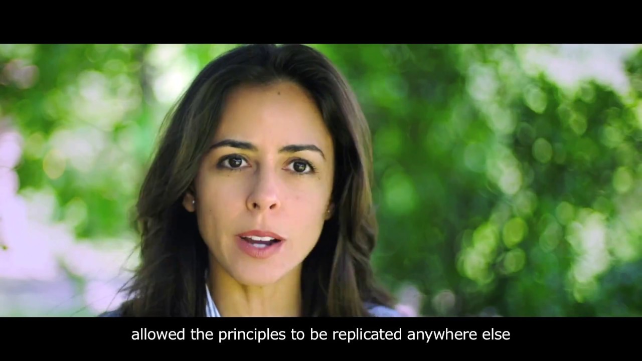 Life in Syntropy - YouTube