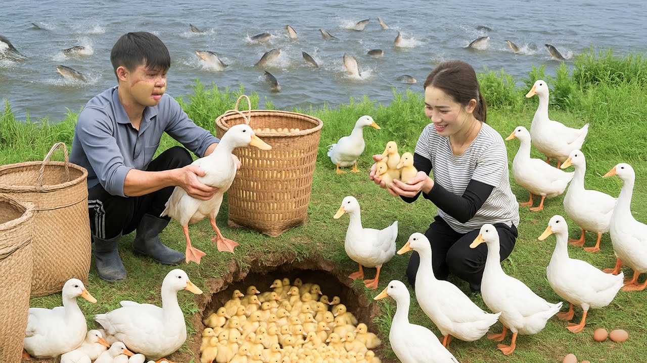 Epic Harvest! Ducks Flapping and Fish Jumping – Real Life in the ...