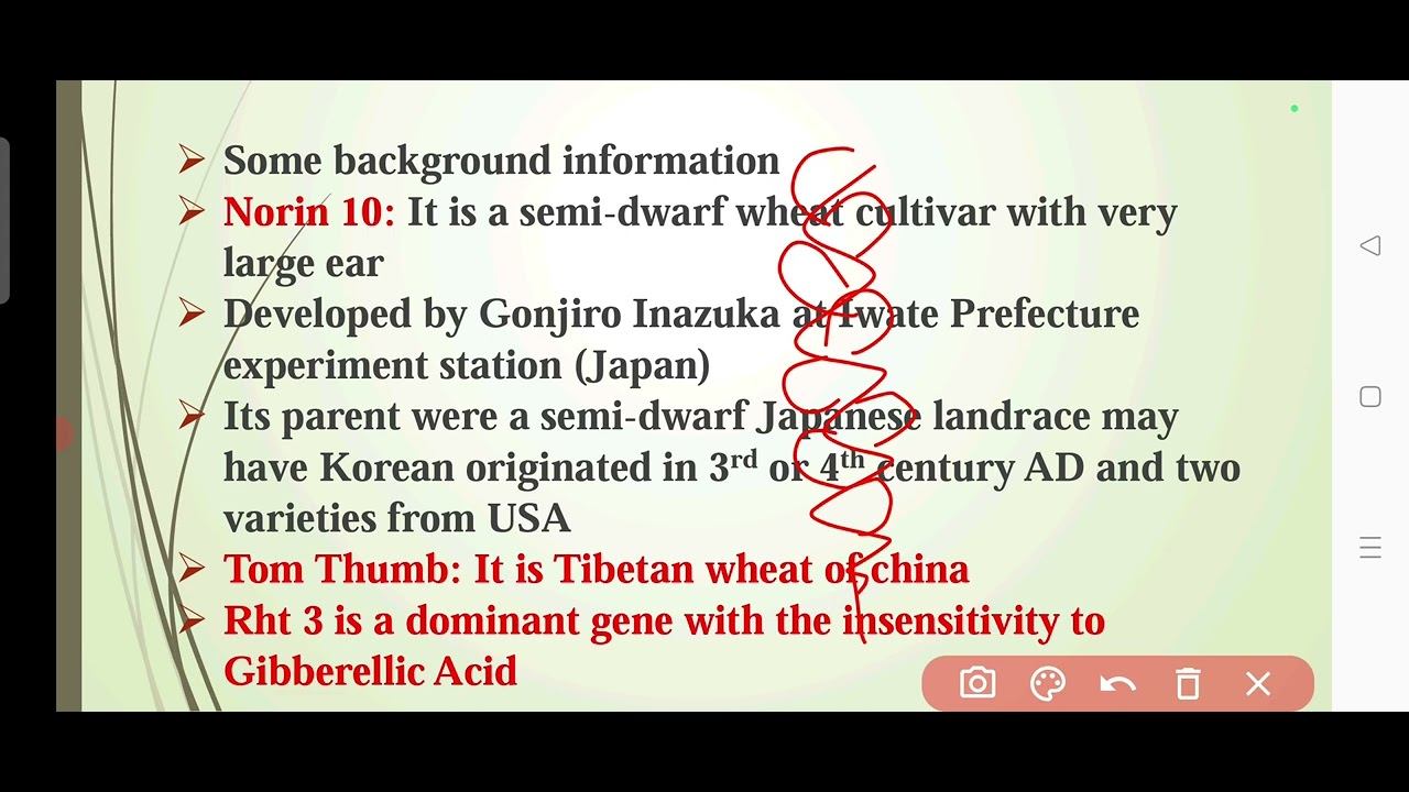 Norin 10 and Tom Thumb in wheat|Agriculture question|Plant breeding ...