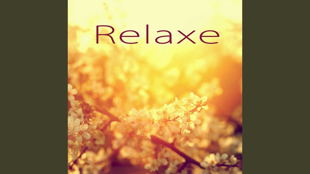 Relaxamento (Relaxar a Mente) - YouTube