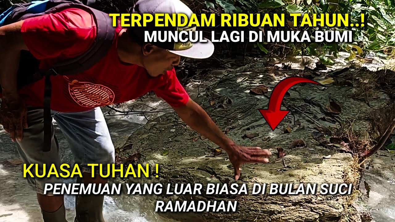 kuasa tuhan..!penemuan yang luar biasa di bulan suci ramadhan,muncul di ...