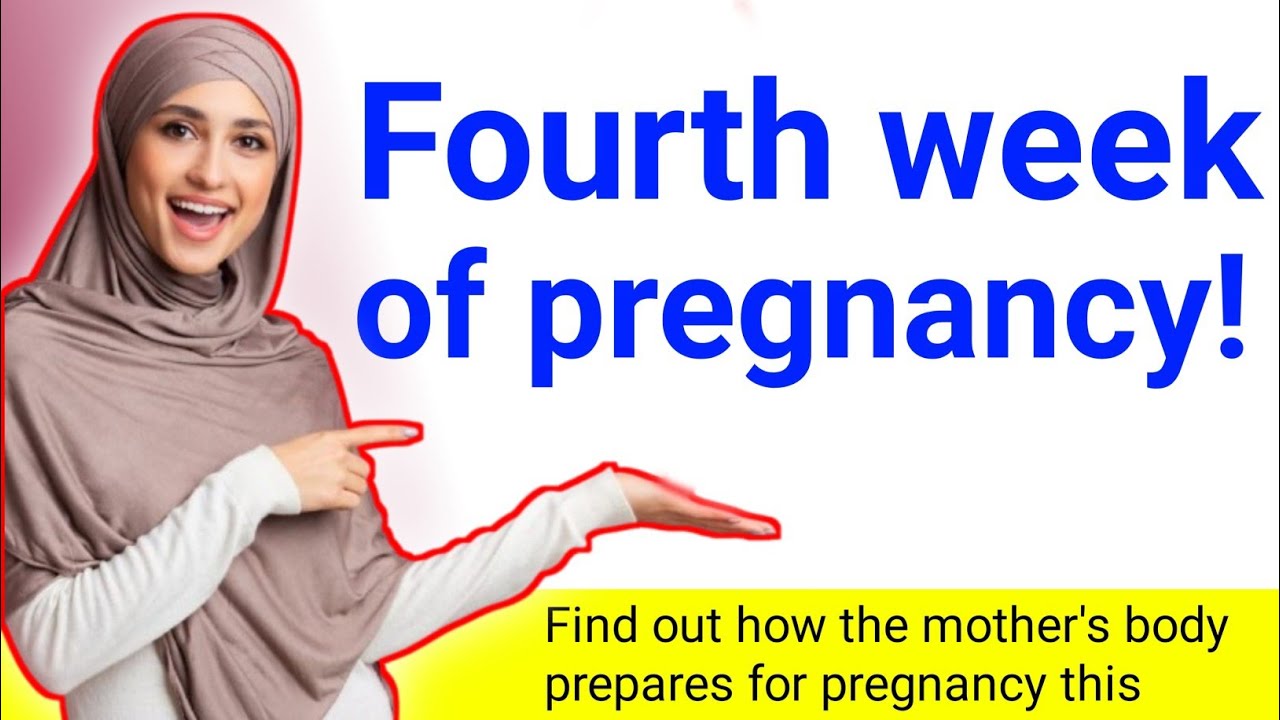Symptoms of the fourth week of pregnancy || Fourth week of pregnancy ...