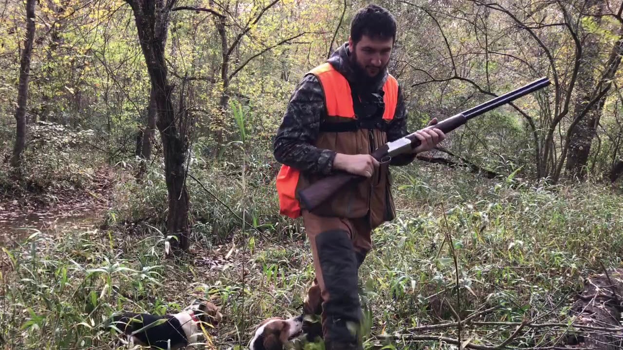 Running Georgia swamp rabbit 2018/19 season Lov na zeca - YouTube