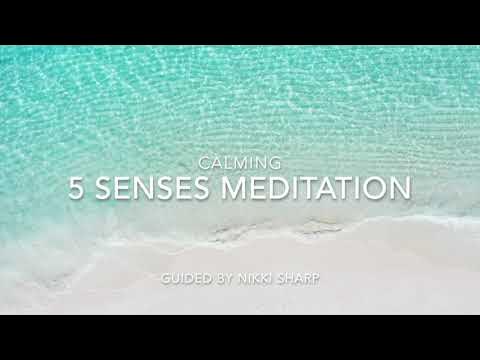 Guided 5 Senses Meditation - Under 10 minutes - YouTube