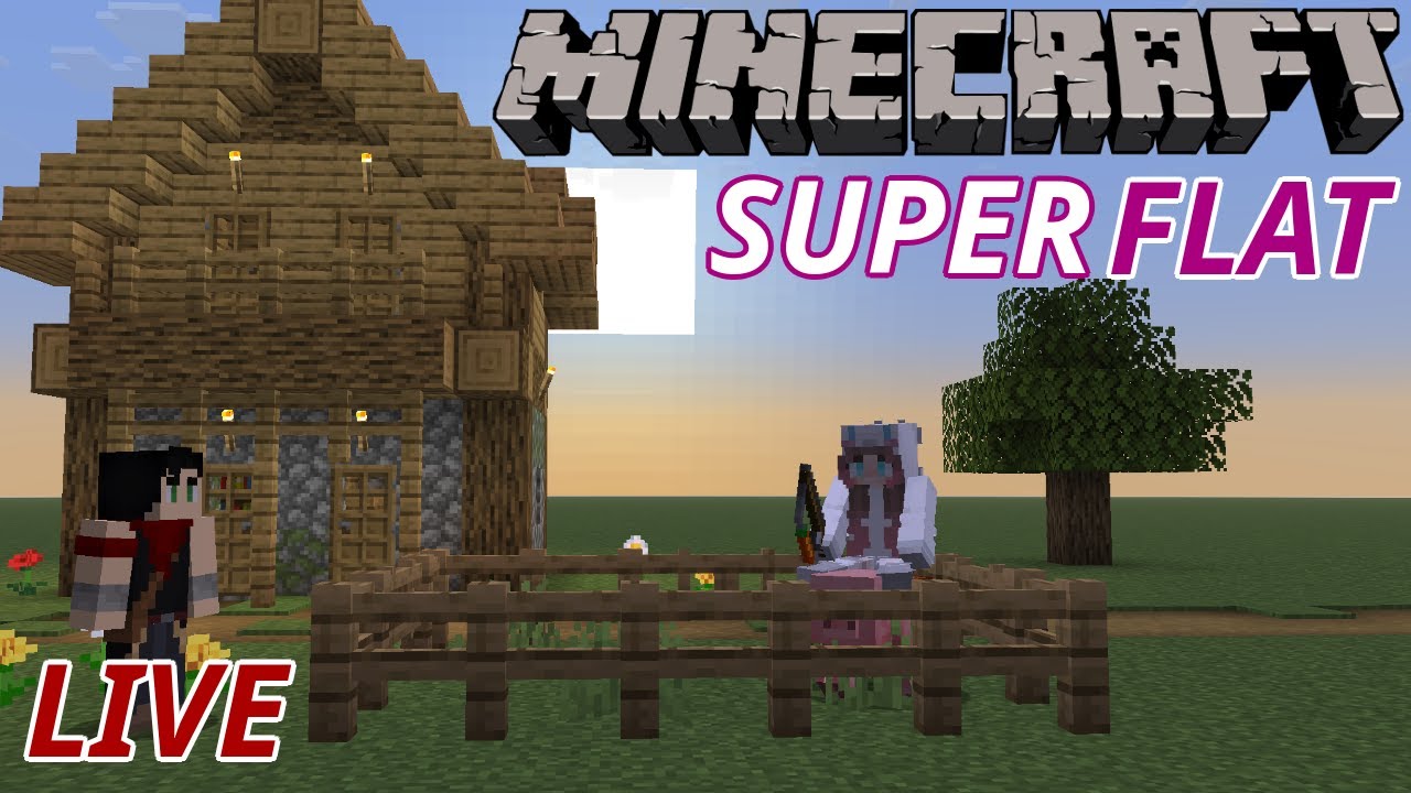 MineCraft Alpha: SURVIVAL 003 - YouTube
