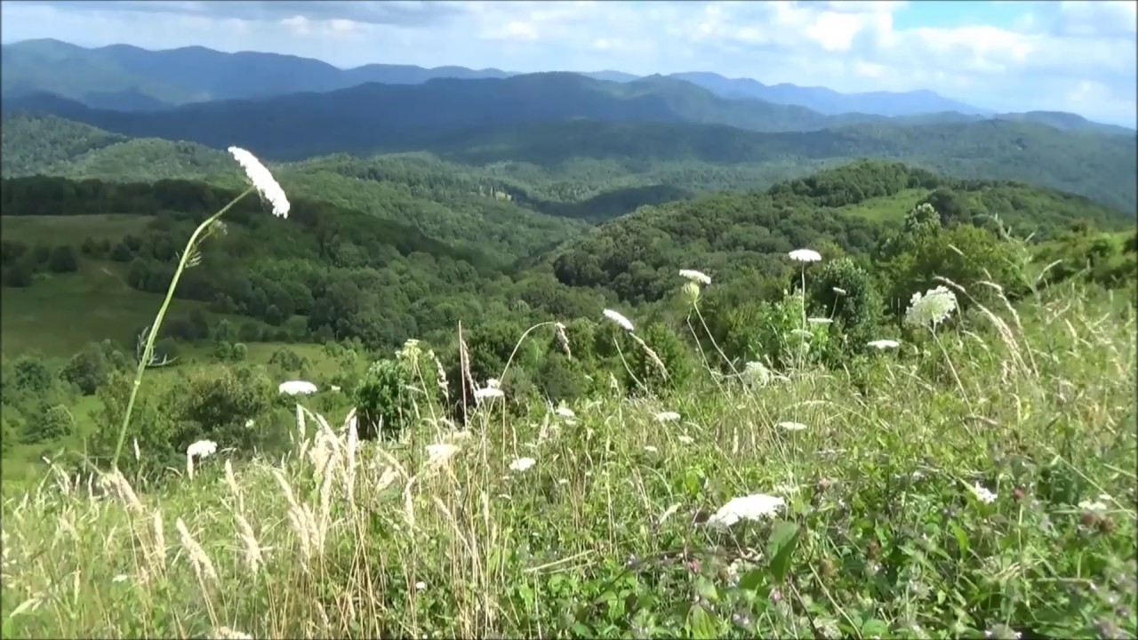 Max Patch, North Carolina - YouTube