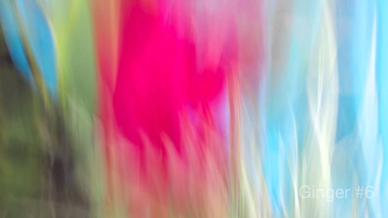 Awapuhi Series - Gingers, by Shane Robinson - YouTube