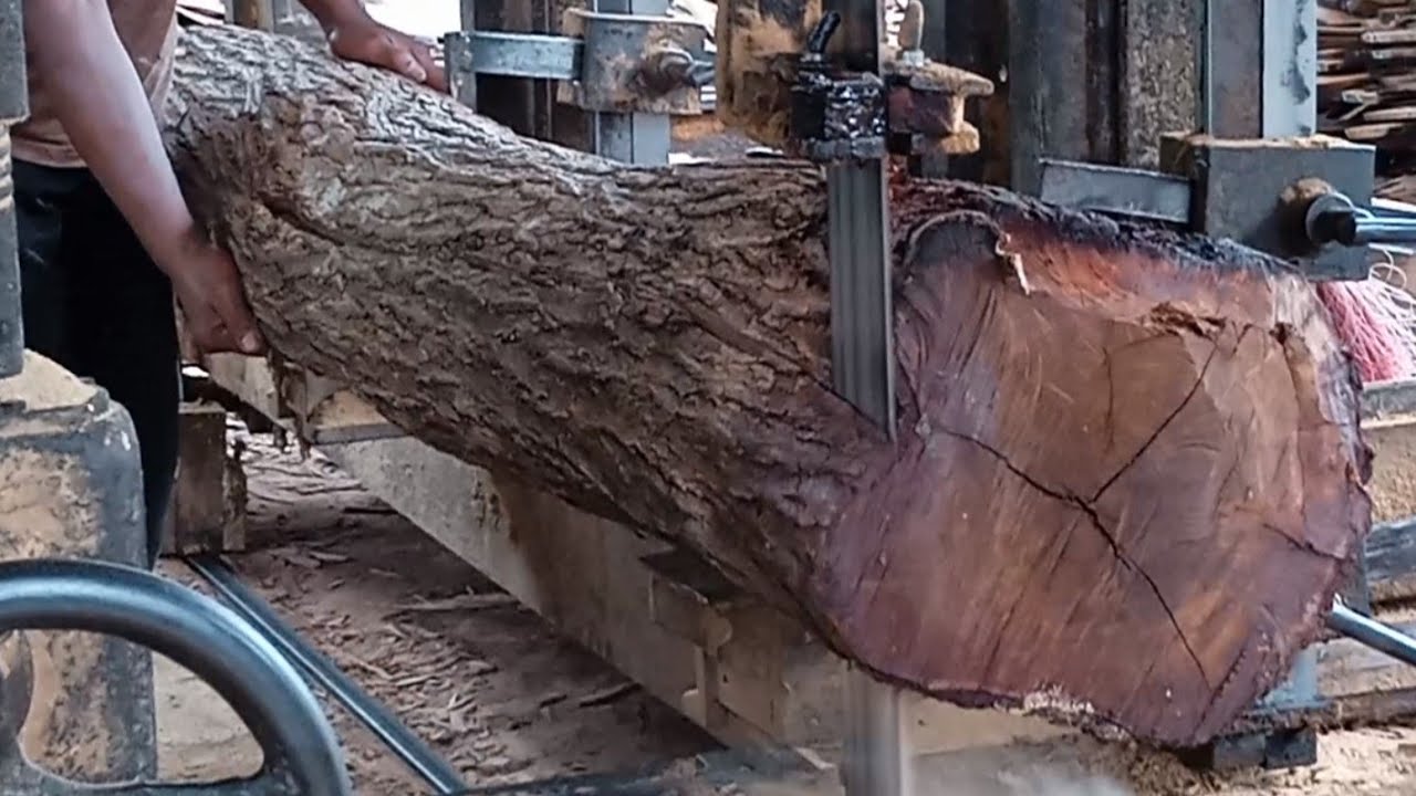 The amazing skill of the old grandfather in sawing hard acacia wood ...