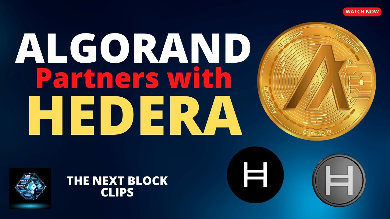 Algorand's Unique Partnership with Hedera Foundation [Major Alpha ...