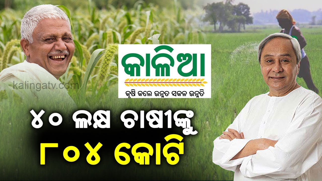Rs 800 Crore KALIA Assistance Money Transferred To 40 Lakh Farmers rs-800-crore-kalia-assistance-money-transferred-to-40-lakh-farmers
