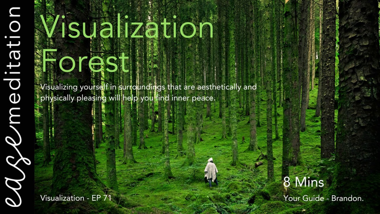 HQ - Visualization - Forest - Episode 71 - Ease Meditation - YouTube